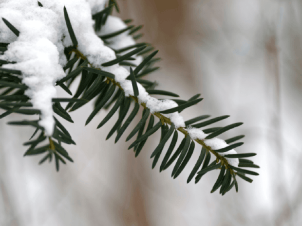 Centre de vacances à Ancelle qui accueille les jeunes en colo