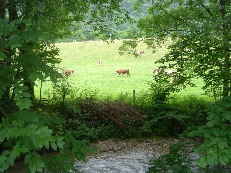 Centre d'accueil Chalet "Sans Souci" : centre de vacances BELLEVAUX ...