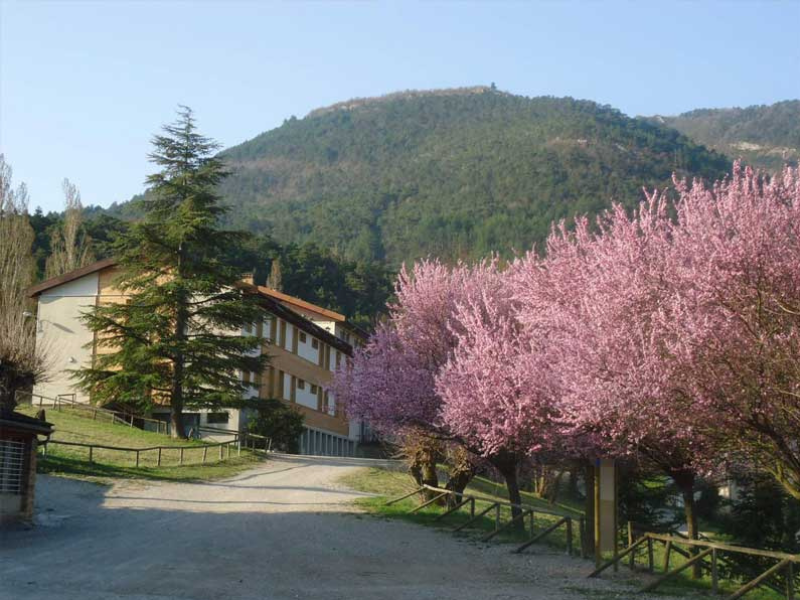 Colo de vacances multi-activités pour les jeunes de 4 à 12 ans au cœur ...